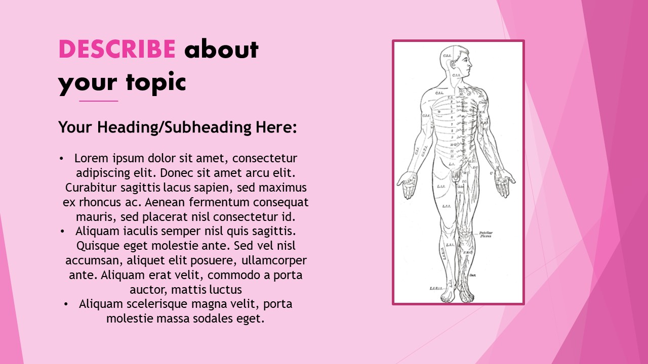 Free Hormones Presentation Template Myfreeslides