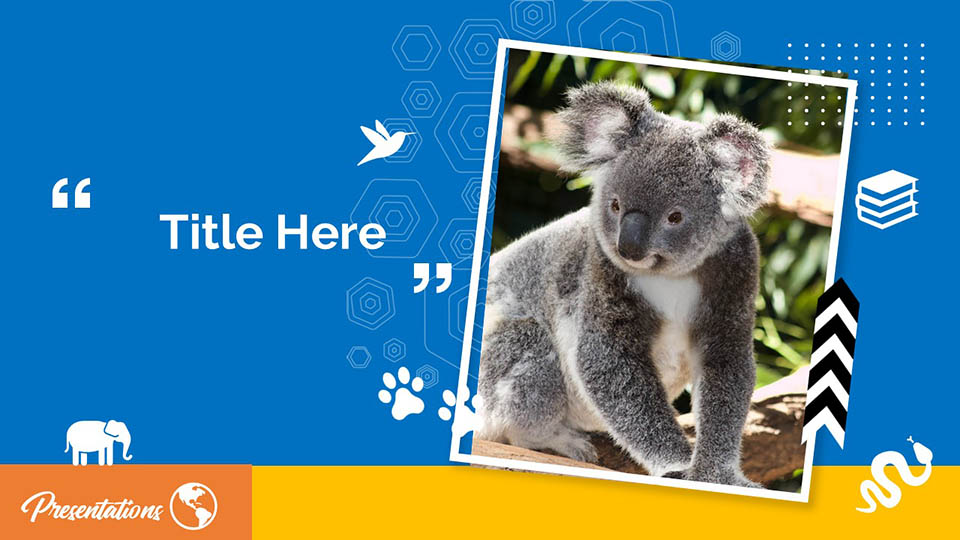 Free Koala Google Slides Themes and PowerPoint Templates for Presentations.